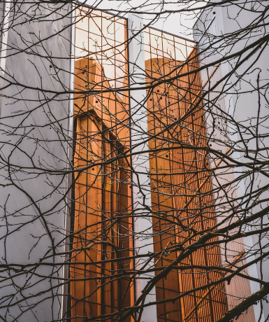 Natural Resources, Metals And Mining Recruitment | Cooper Fitch